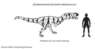 A T. rex távoli rokonát találták | Demokrata