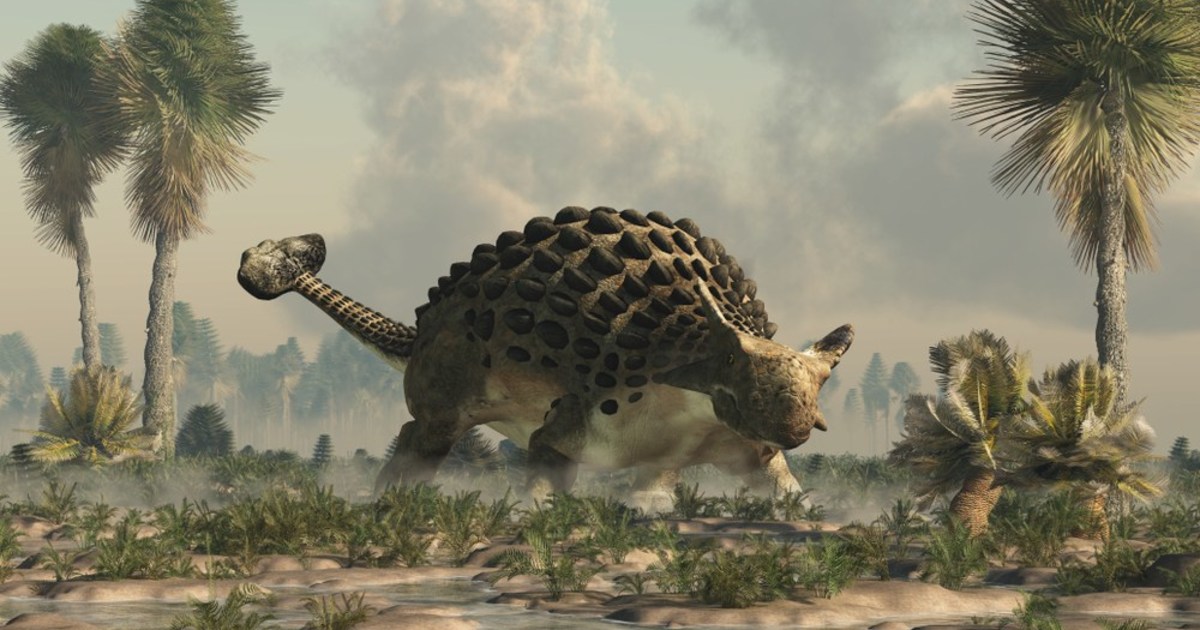 Új dinoszauruszfajt azonosítottak egy kövületben | Demokrata