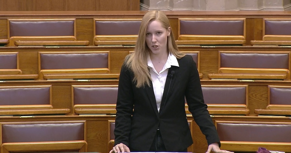 Bakos Bernadett: Ez egy szélsőségesen neoliberális kormány! | Demokrata