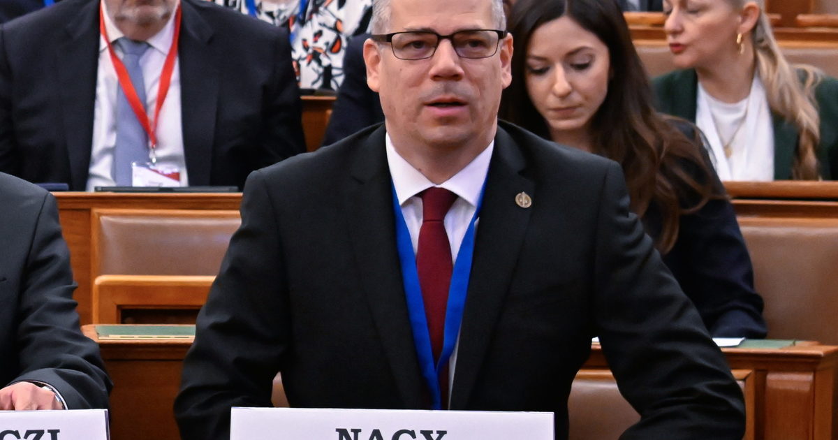Nagy Gábor Bálint: Ez olyan megtiszteltetés, amely csak egyszer adatik ...